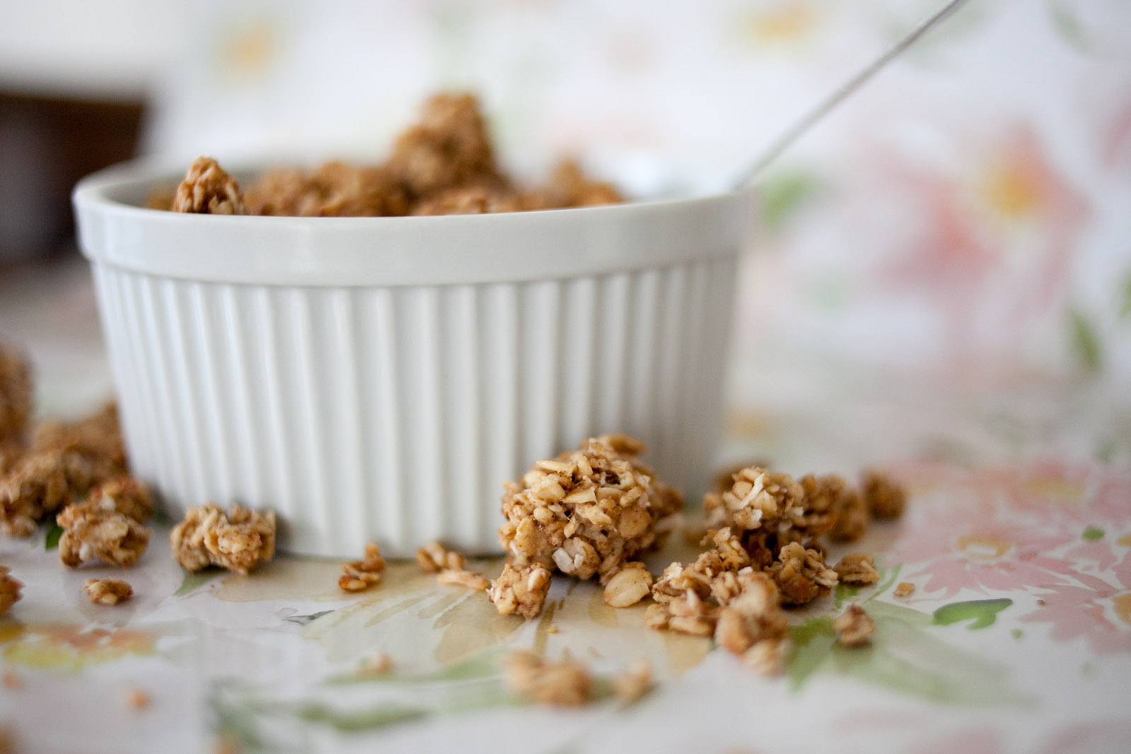 Delicious and Easy Granola: Crunchy + Chunky with Sourdough Discard ...